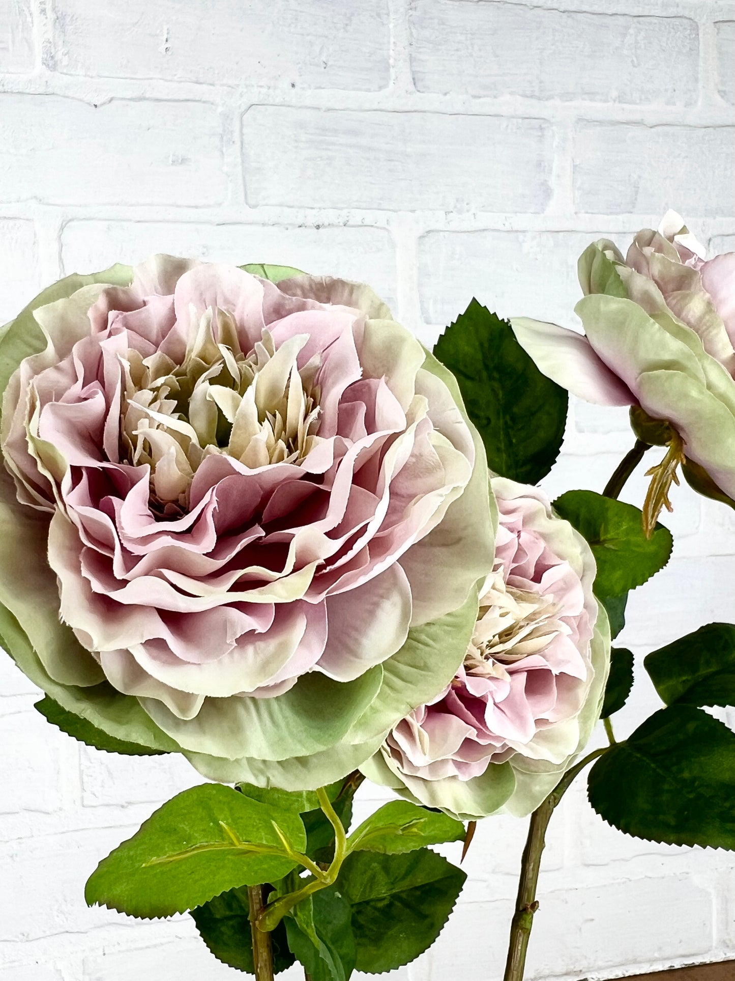 Products – The Accidental Farmgirl Co