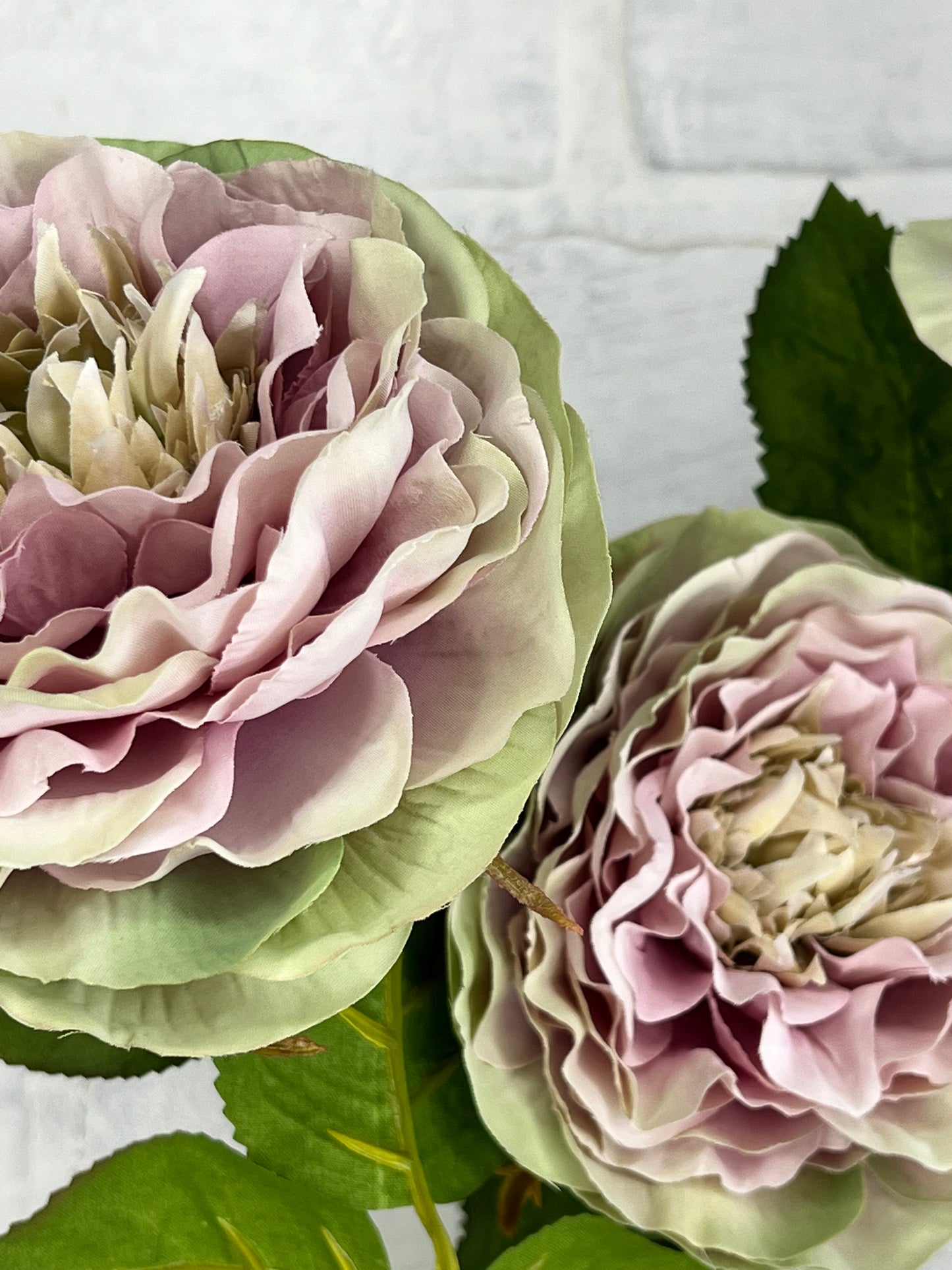 Products – The Accidental Farmgirl Co